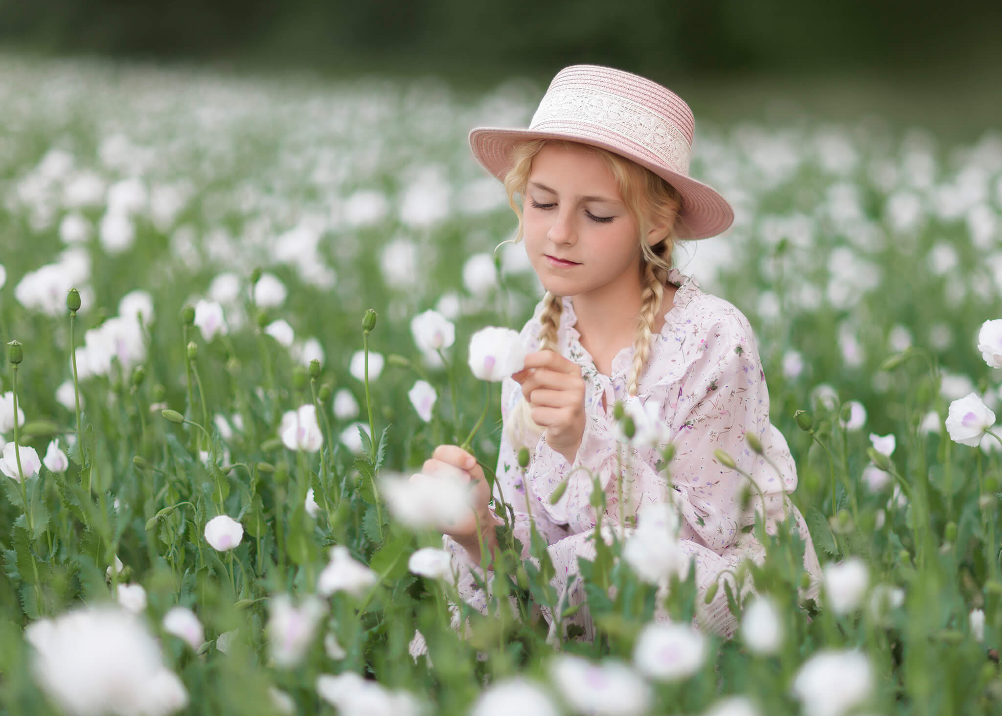 My Poppy II - Photo Education By Daniel