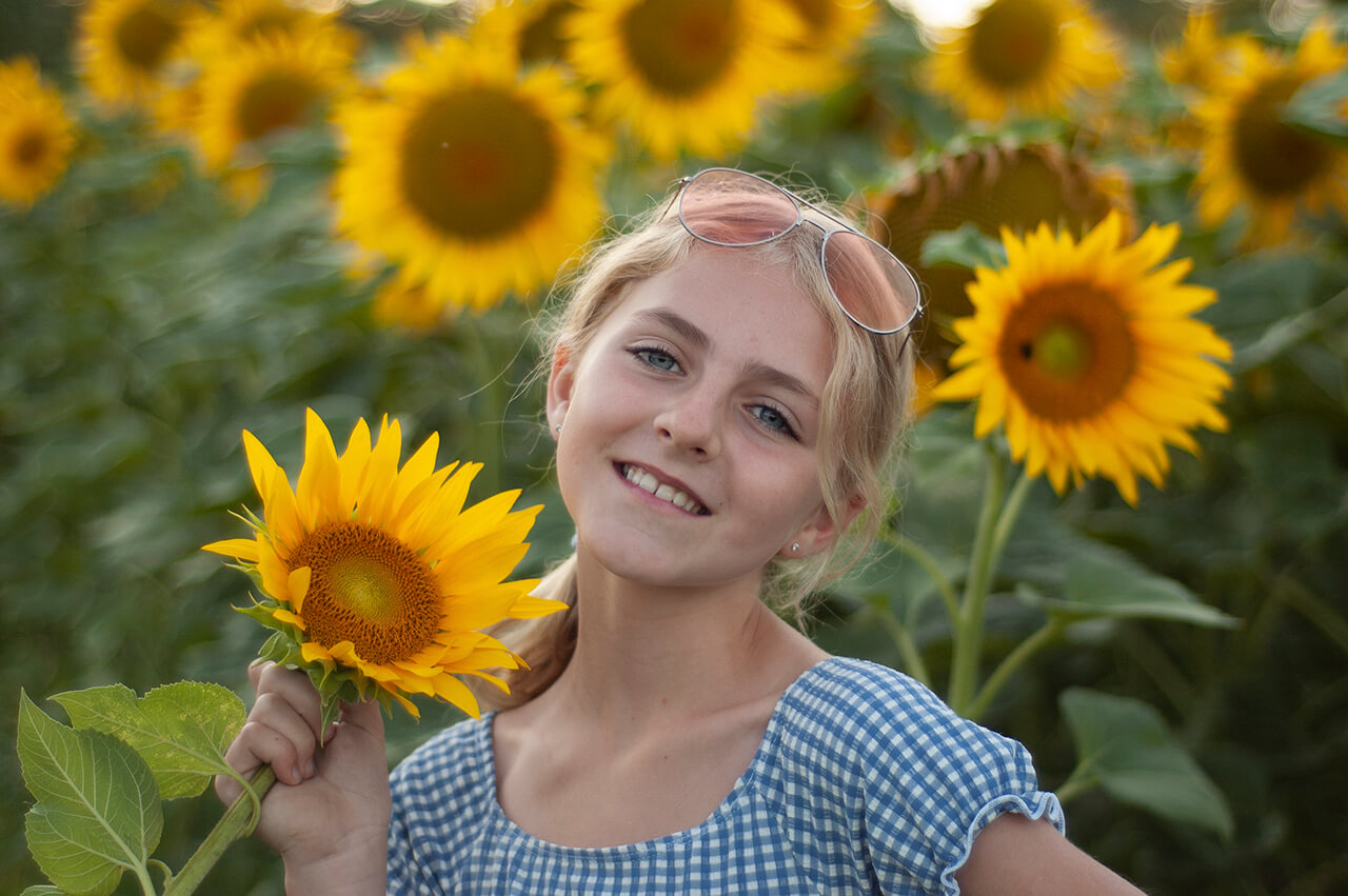 Summer Sunflowers - Photo Education By Daniel